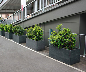 Commercial Landscaping with Planters: Guide for Architects & Builders